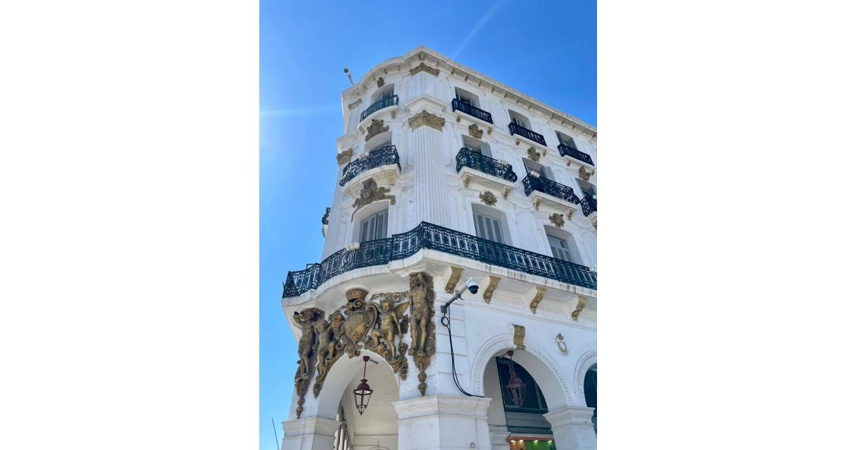 Visite guidée au coeur d'Alger : Le Télemly ou les coteaux d’Alger à mi-hauteur avec Safir ...